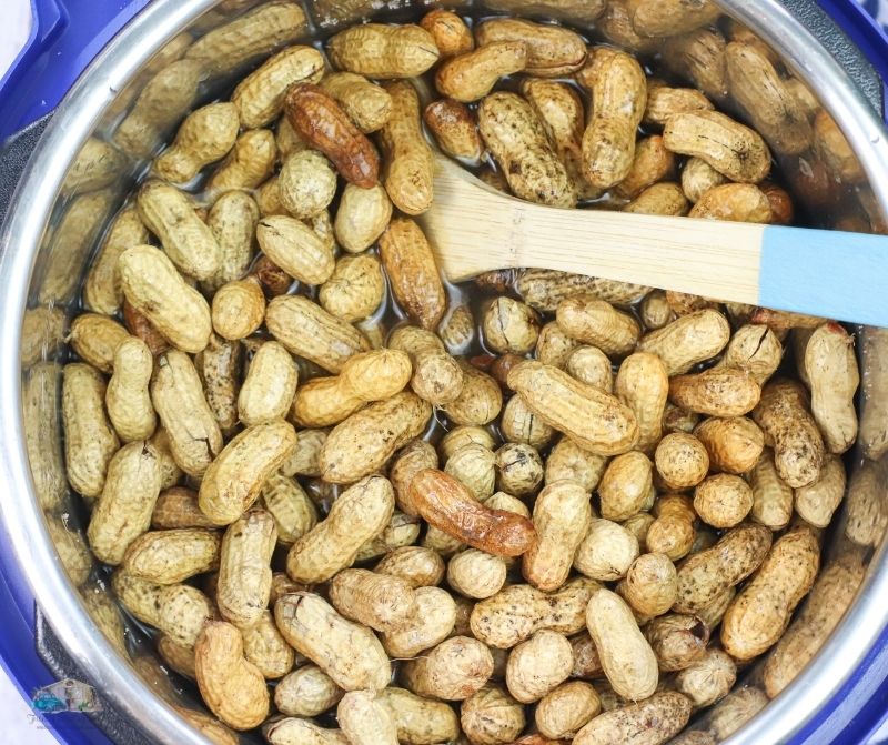 How to Make Instant Pot Boiled Peanuts - MomSkoop
