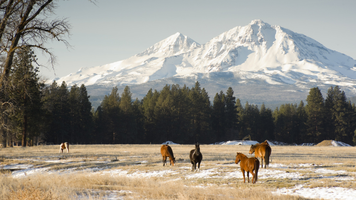 Skip Portland—These 11 Oregon Spots Will Win Your Heart