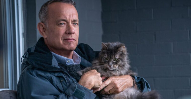 If You Feel Lost Right Now, Watch These 15 Movies